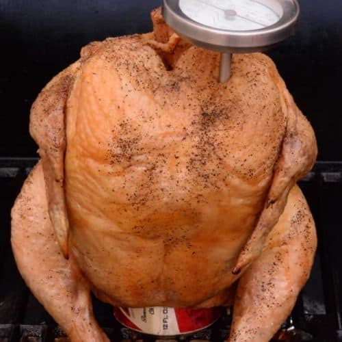 Gabon Nyembwe Chicken (Chicken Stew) - International Cuisine