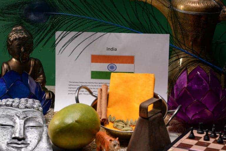 Our Journey to India - International Cuisine