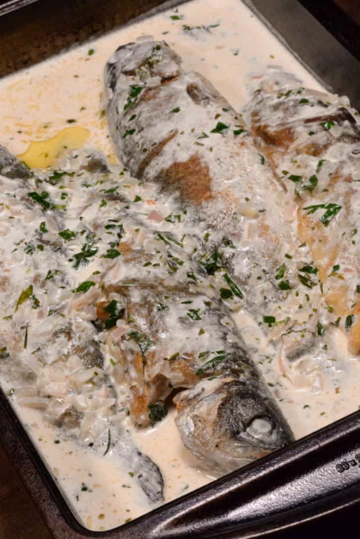 Luxembourg Trout in Riesling Sauce - International Cuisine